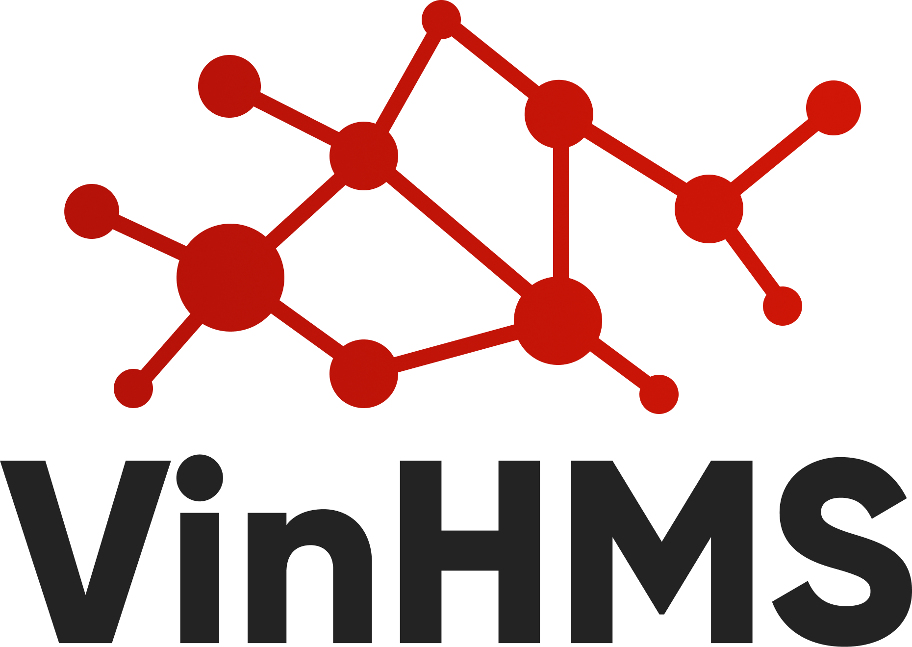 VinIT - Vingroup Company