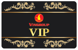 Vingroup phát hành thẻ VIP nhiều quyền lợi và đa tiện ích - Tập đoàn ...